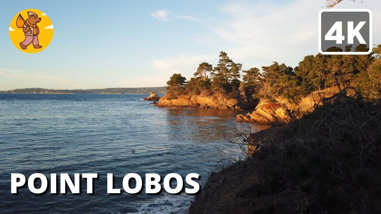 4K Point Lobos Hiking Tour Granite Point Trail| 🔊 Binaural Sound - YouTube