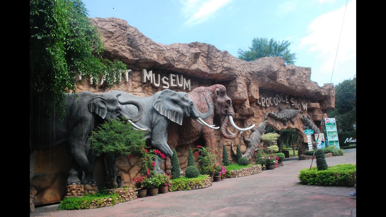 Elephants Show | Sriracha Zoo | Thailand Tour | - YouTube