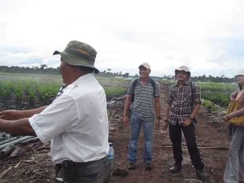 Sumisansui MK II Tube Irrigation System - YouTube