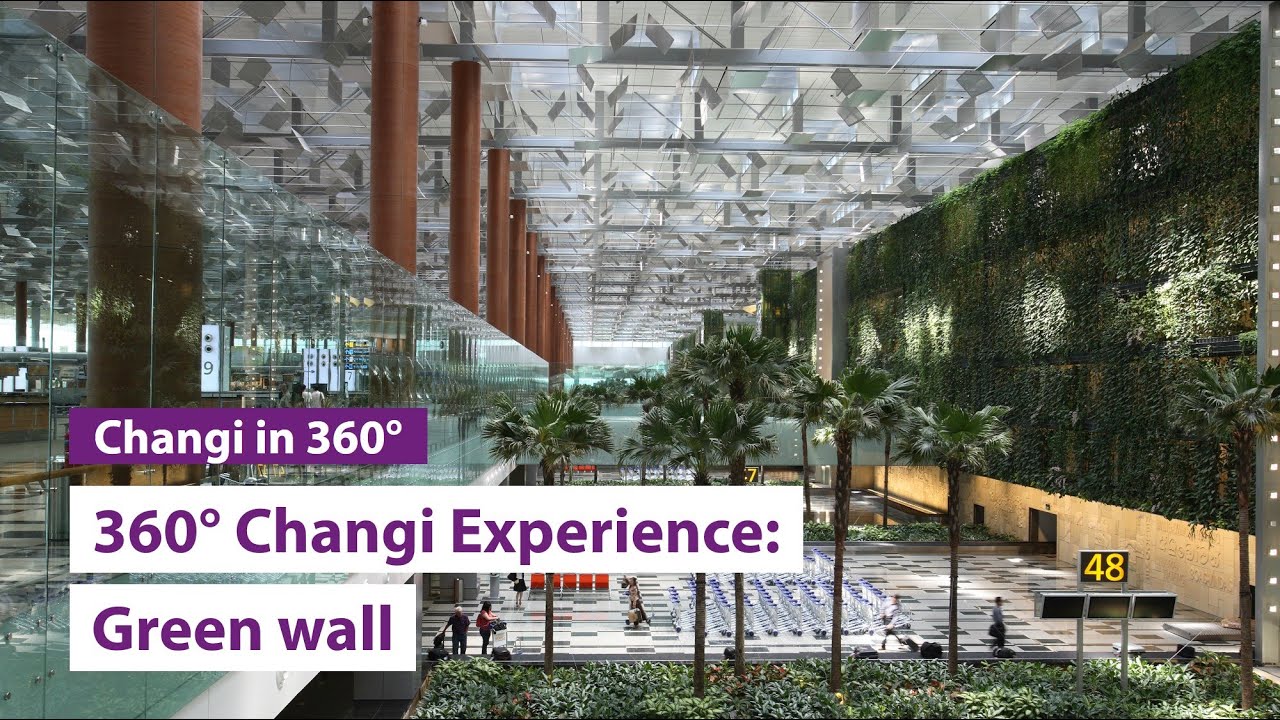 360° Changi Experience: Green wall - YouTube