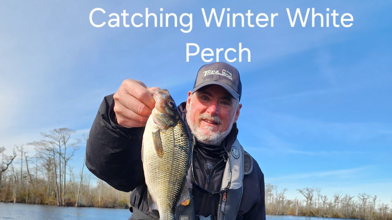 Catching Winter White Perch - YouTube
