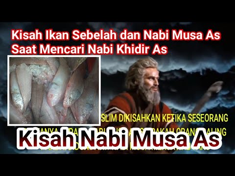 Kisah Ikan Sebelah dan Nabi Musa As Saat Mencari Nabi Khidir As