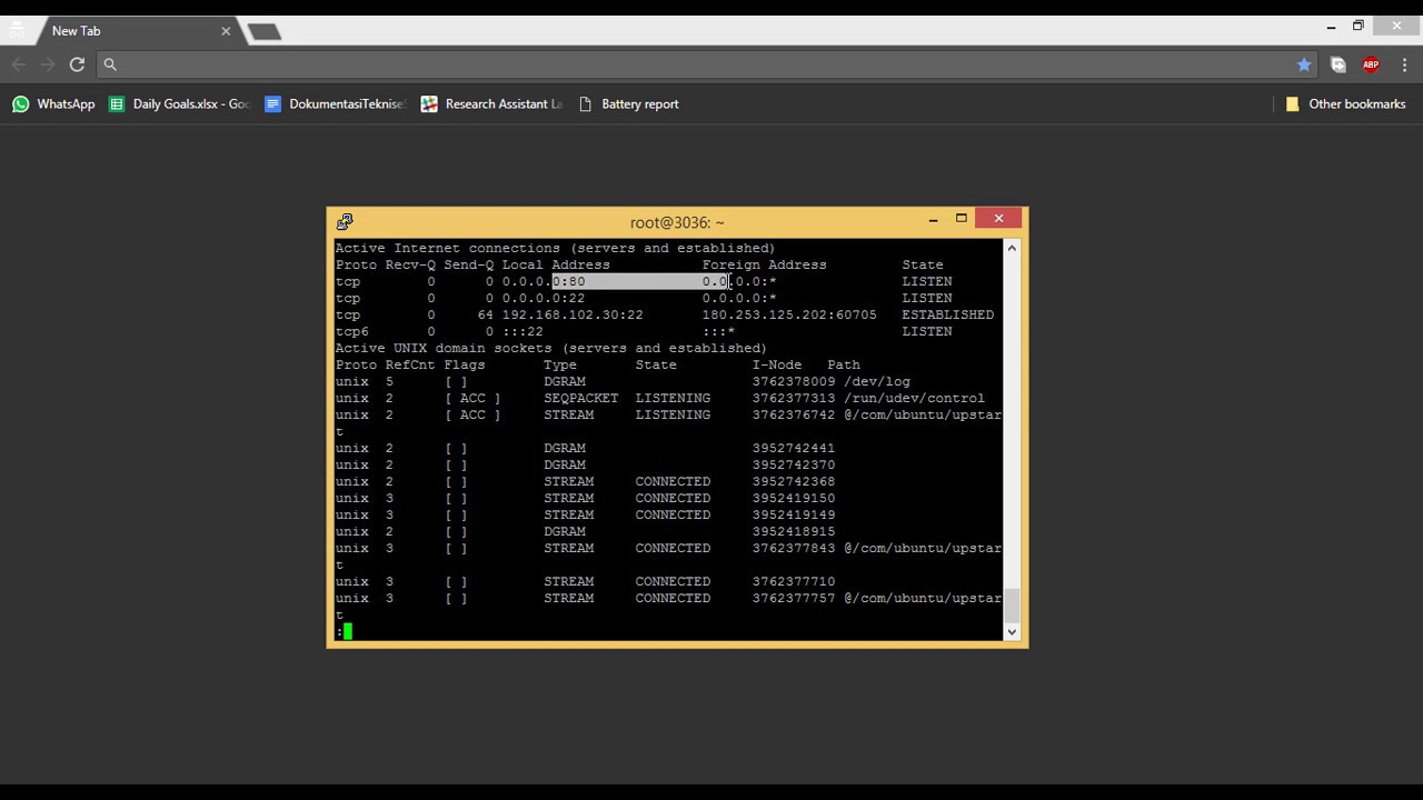 Setup Free HTTPS Web using Ngrok Localhost Tunneling on Ubuntu - YouTube
