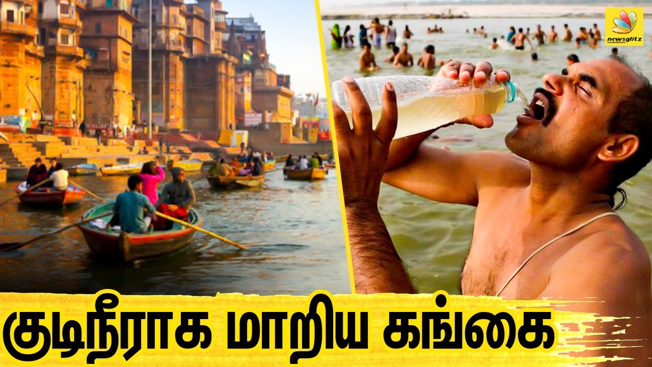 Lockdown அதிசயம்!! இயற்கையாக தூய்மையடைந்த நதி! | River Ganga, Lockdown ...