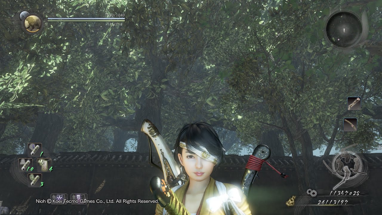 nioh (仁): way of the strong [level 1 co op with lord norbert (part 1 ...