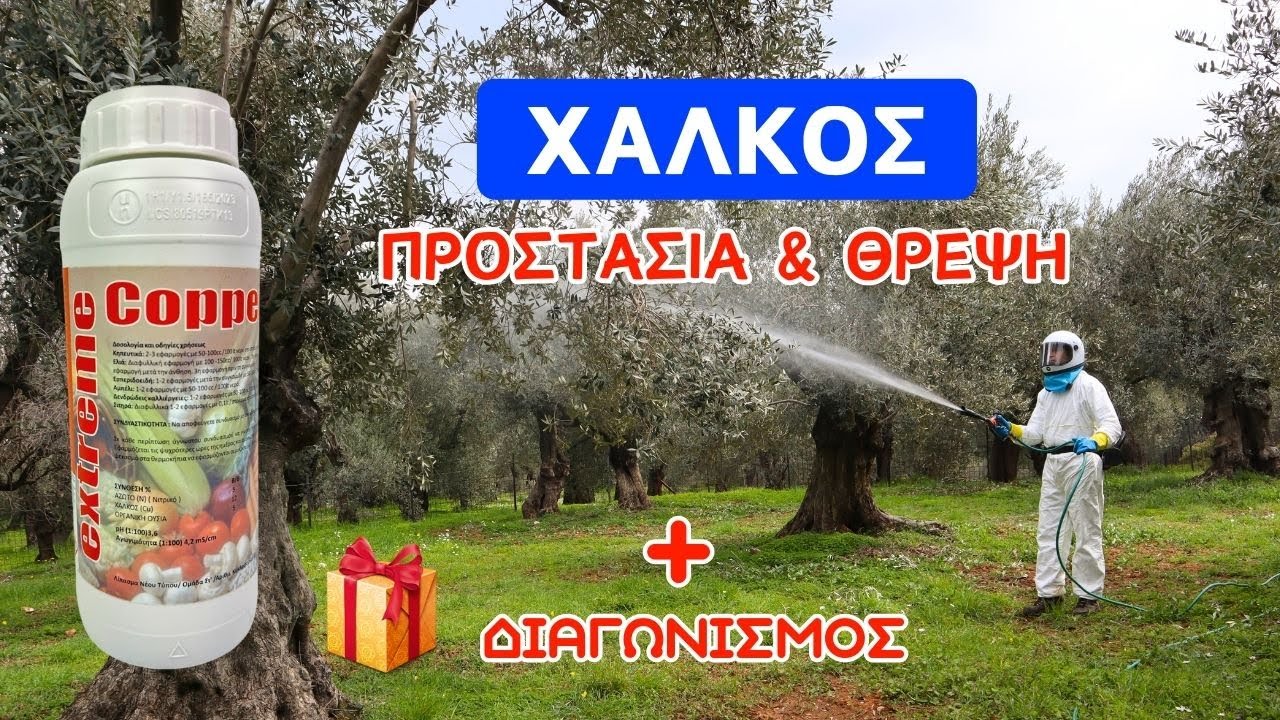 ΨΕΚΑΣΜΑ ΧΑΛΚΟΥ ΓΙΑ ΠΡΟΣΤΑΣΙΑ & ΘΡΕΨΗ + ΔΙΑΓΩΝΙΣΜΟΣ - YouTube