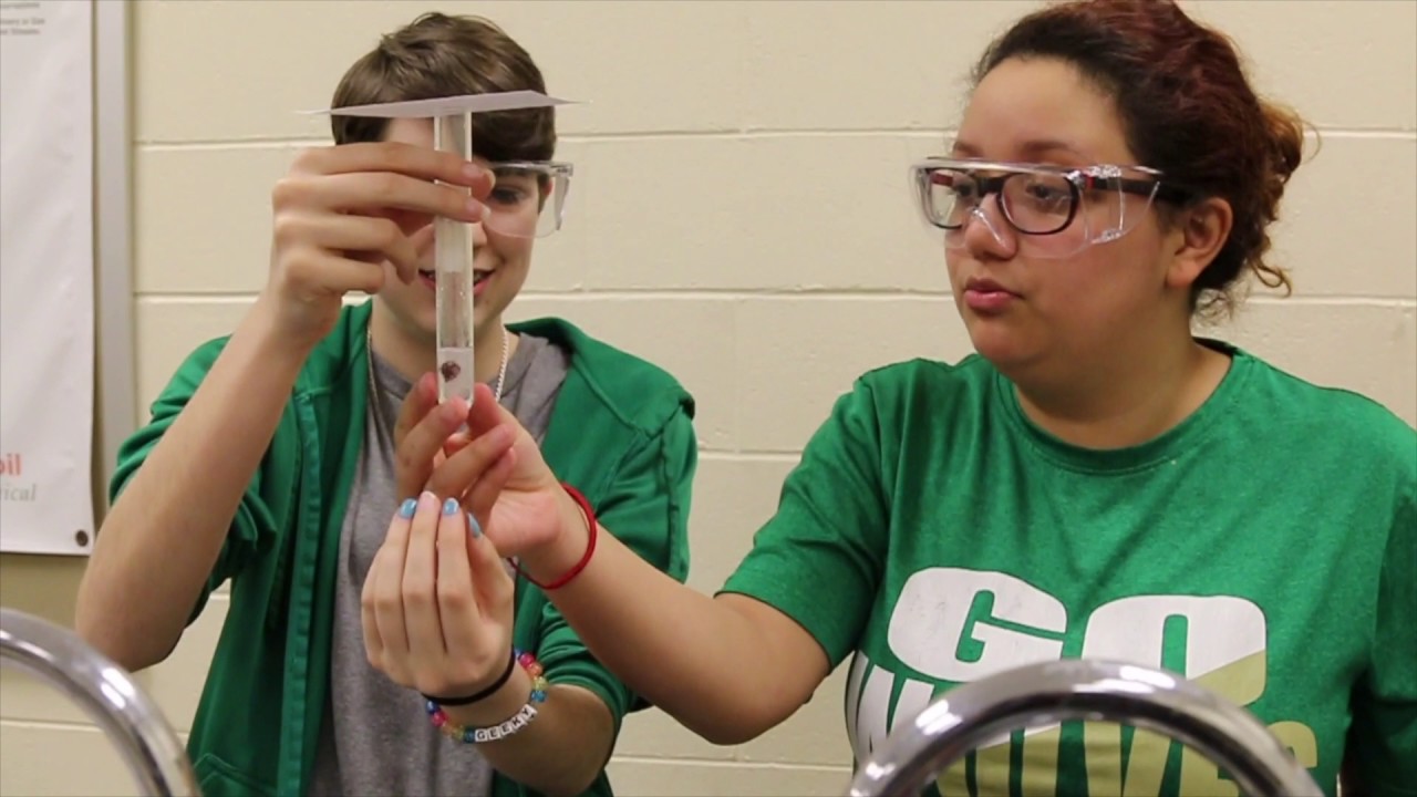 AP Video 2017 - YouTube