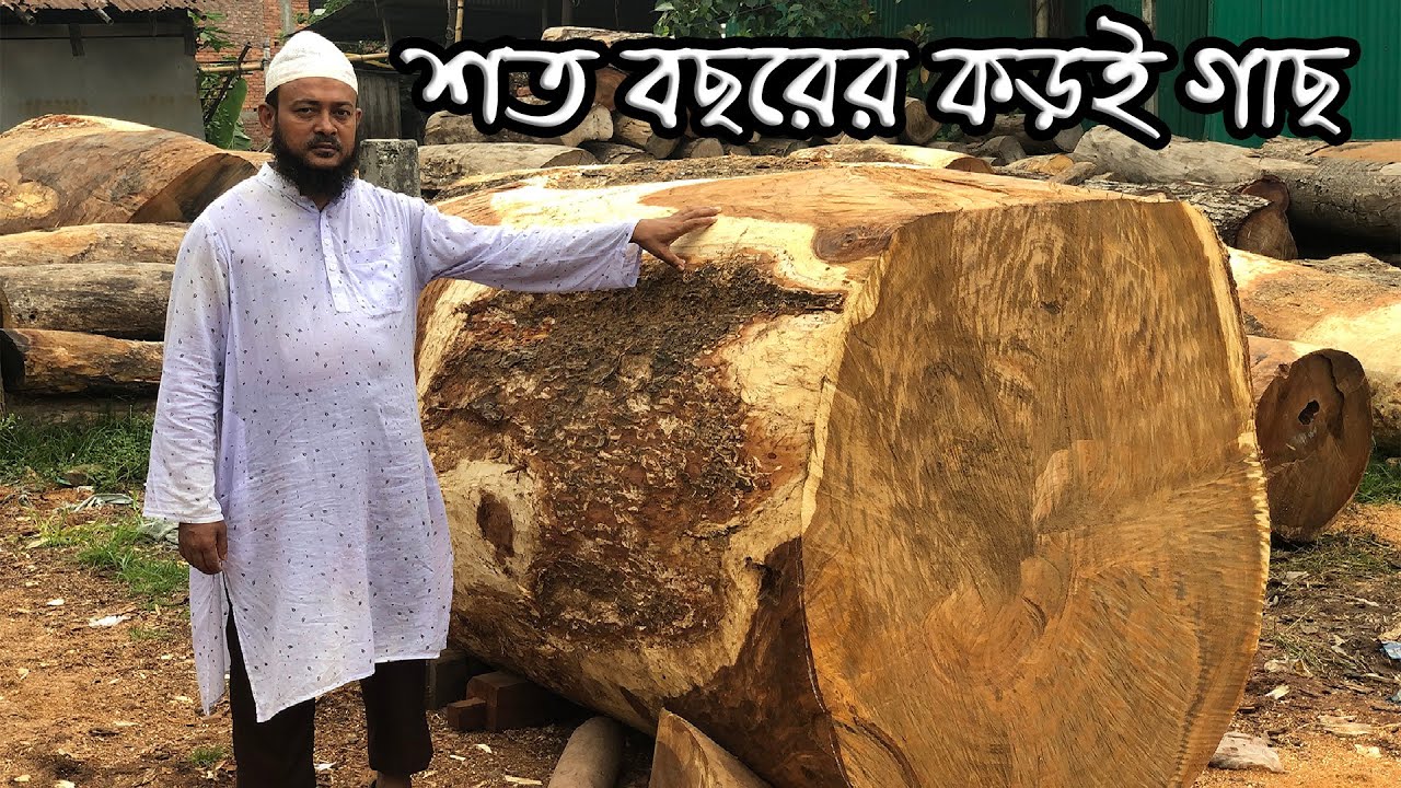 শত বছরের কড়ই🔥গাছের দরজা ও চৌকাঠ। kather dorja design price in ...