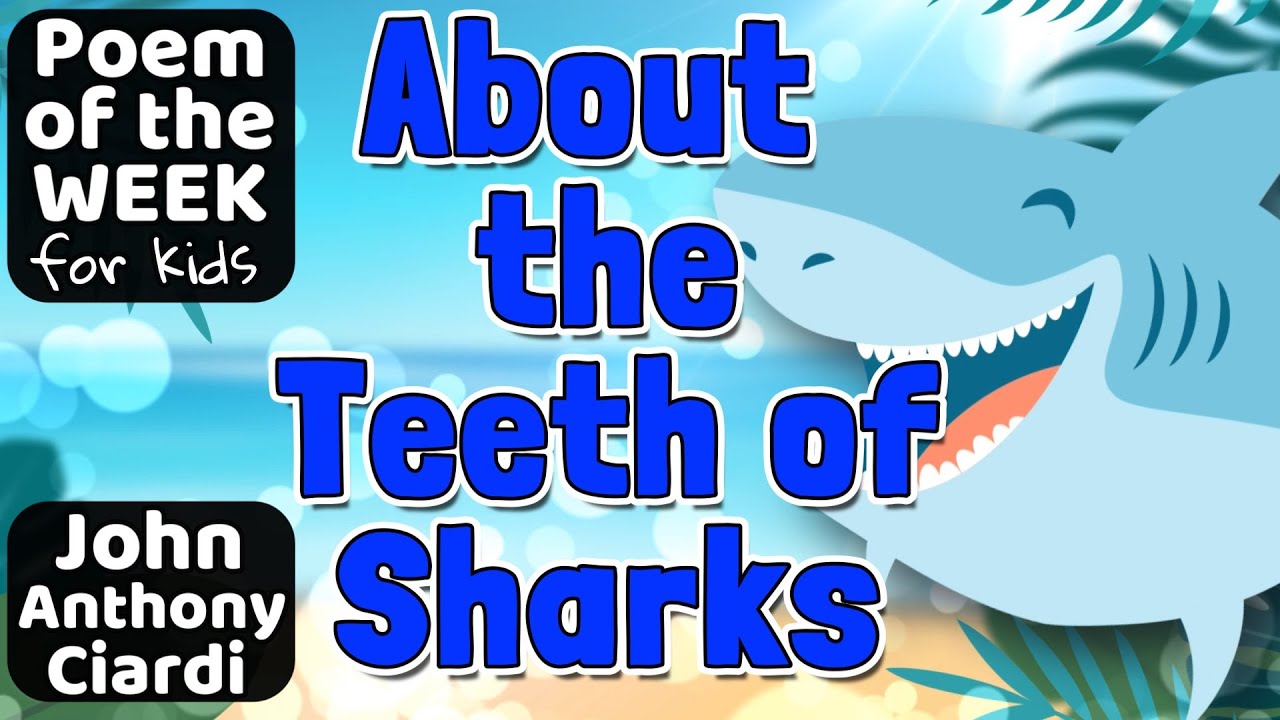 ABOUT THE TEETH OF SHARKS | John Ciardi | POEM OF THE WEEK for kids ...