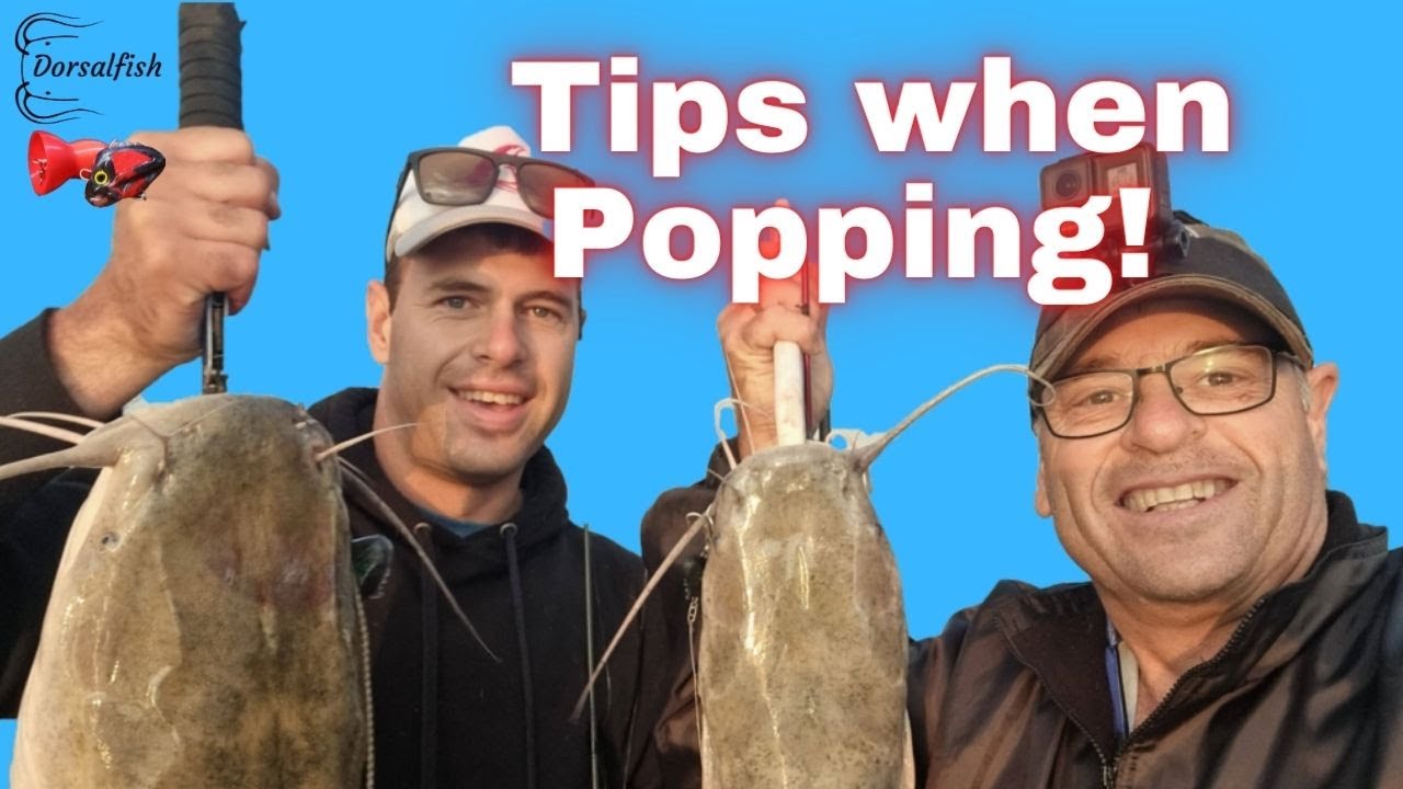 Tips when Popping for Catfish (Barbel/Baber) - YouTube