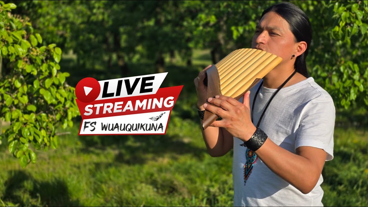 Live Performance Livestream Goodvibes Subscribe Share Like Fabiansalazarwuauquikuna Youtube