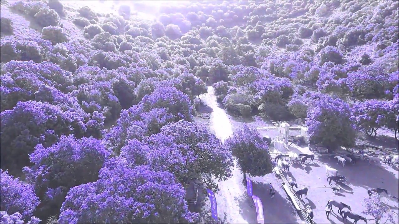 Israel Volcano Run 2018 - GET READY! - YouTube