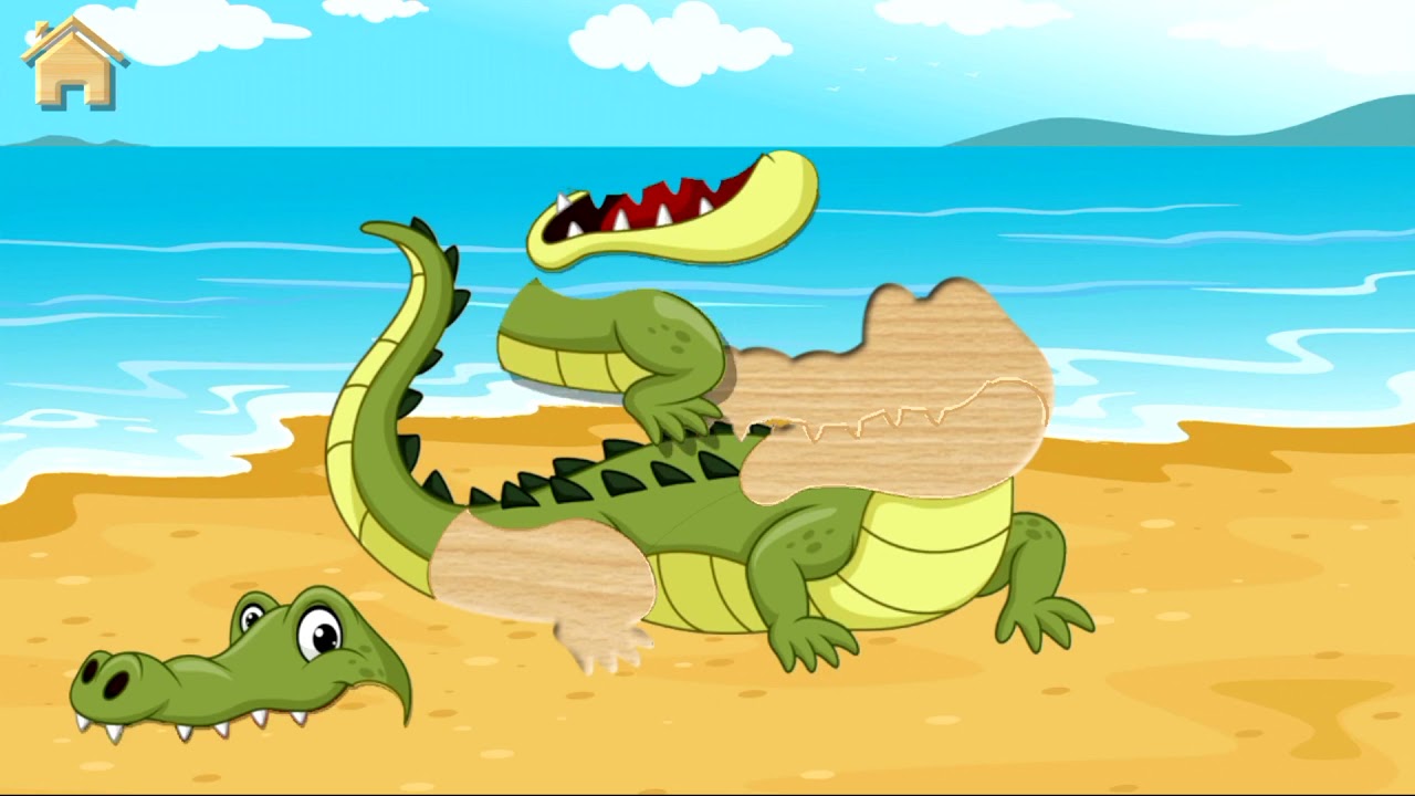 Alligator | Alligator Puzzles | Puzzle Game - YouTube