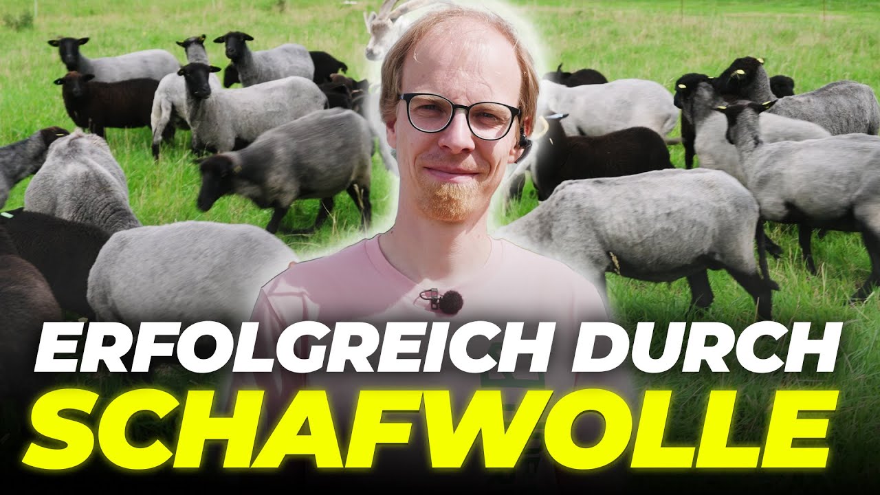 Sympathie Training für Marco Scheel von Nordwolle - YouTube