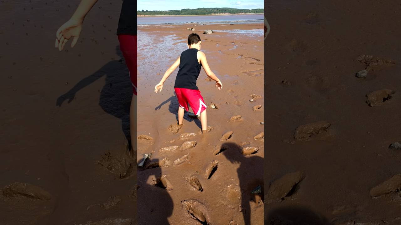 Blue Rock Beach, holy mud! - YouTube