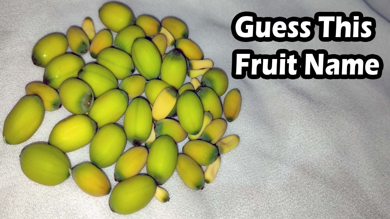 First time trying this fruit - Kamal Gatte - Padma Phula Manji - Padma ...