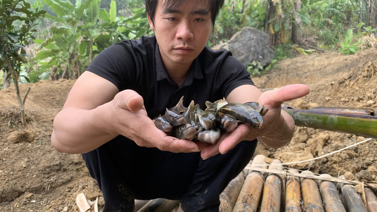 Survival instinct, food from strange fish in the stream, fish farming ...