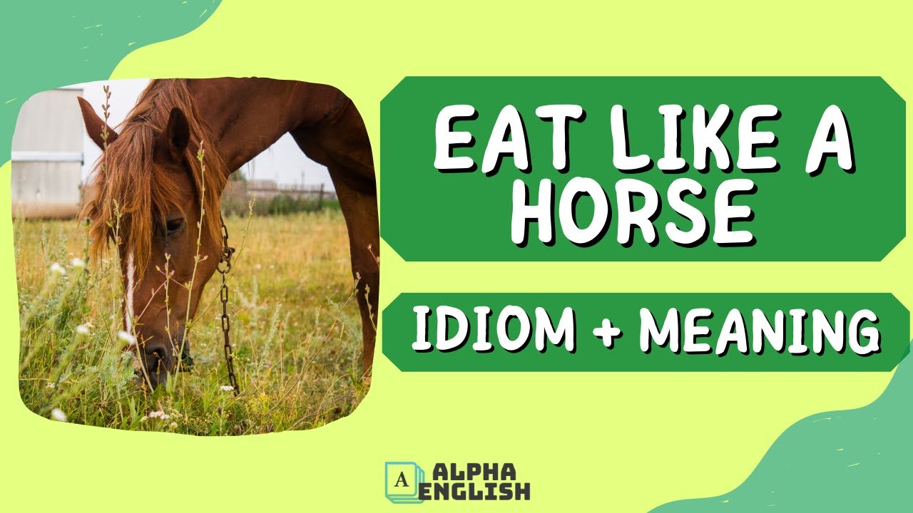 Eat like a horse | English Idioms & Expressions - YouTube