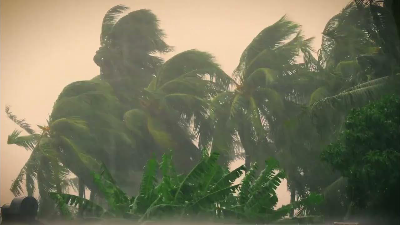 How Does Global Warming Affect Plants YouTube how-does-global-warming-affect-plants-youtube