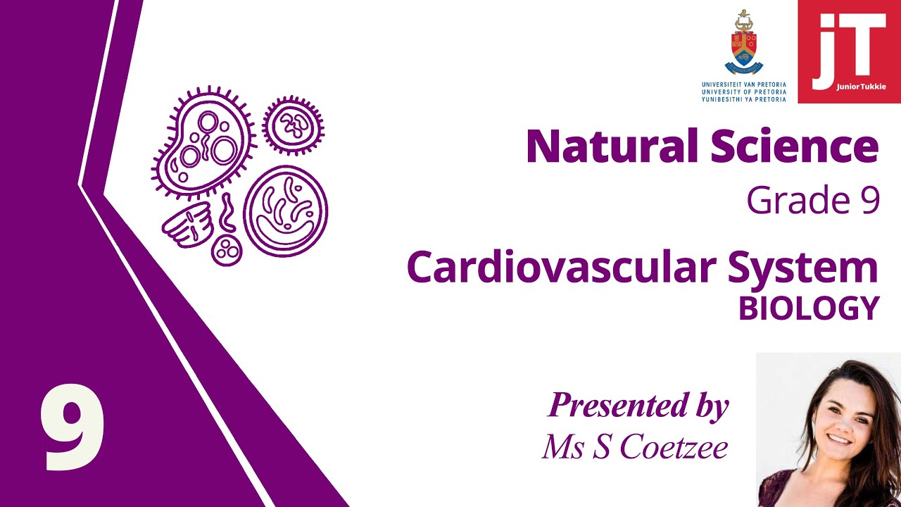 Grade 9 Natural Science - Biology - Cardiovascular System - YouTube