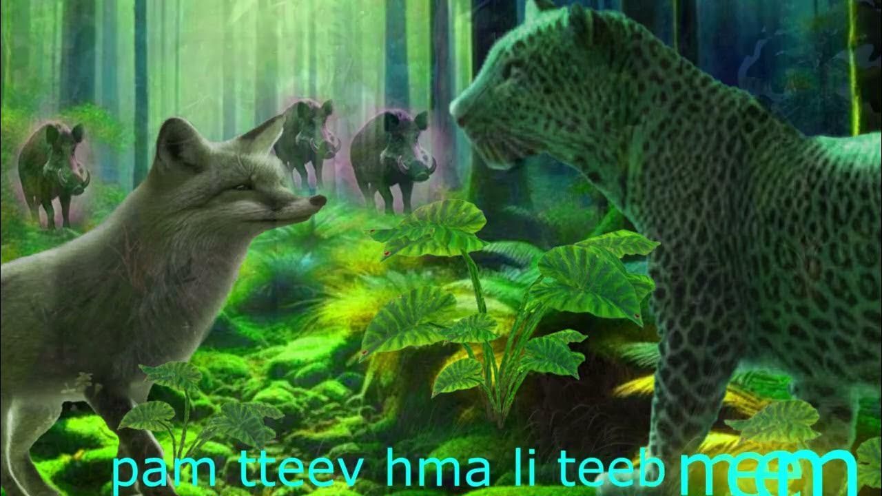 dab neeg tham txog yawg pam teev thiab hma nkawv zaj teeb meem twg txuj ci loj 2024 12 4 - YouTube