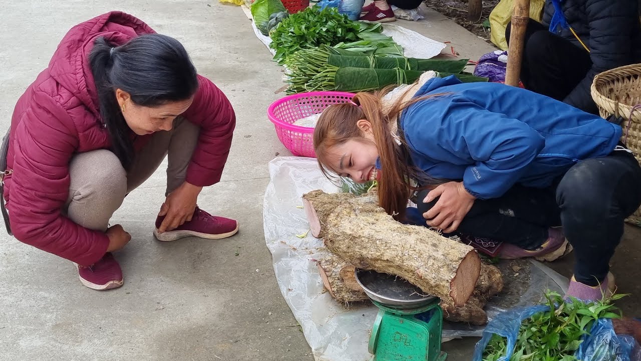 Girl, harvest, yams, papaya flowers bring to the market to sell | Chuc ...