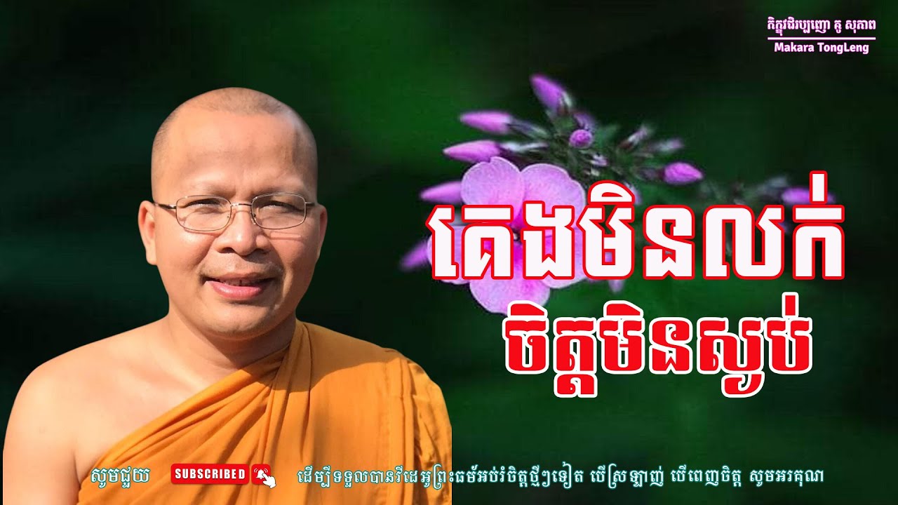 គេងមិនលក់ចិត្តមិនស្ងប់ធម៌អប់រំចិត្ត/Kou Sopheap/គូ សុភាព Makara Tong ...