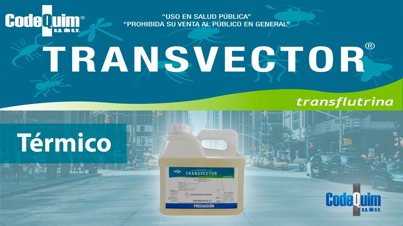 TRANSVECTOR TÉRMICO - YouTube