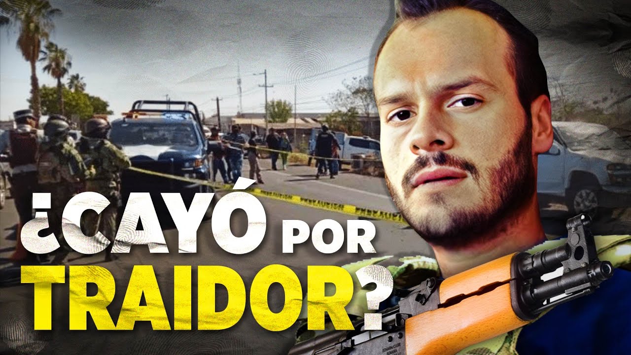 ¡El Cheyo Ántrax: el FIN del SOBRINO del Mayo Zambada apunta a “LOS ...