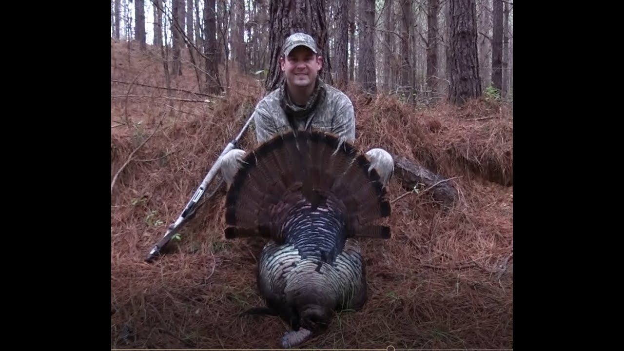 Turkey Hunt 2018 Opening Weekend-Alabama Pines - YouTube