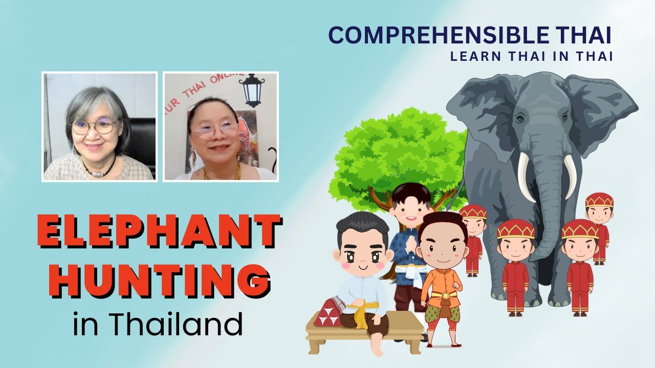Elephant hunting in Thailand (Learn Thai in Thai: Intermediate) - YouTube