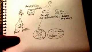 Characteristics of Eubacteria