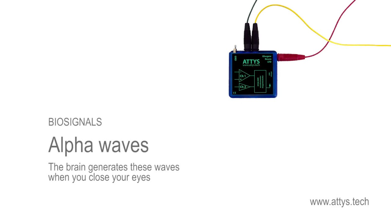 Alpha Waves (EEG) - YouTube