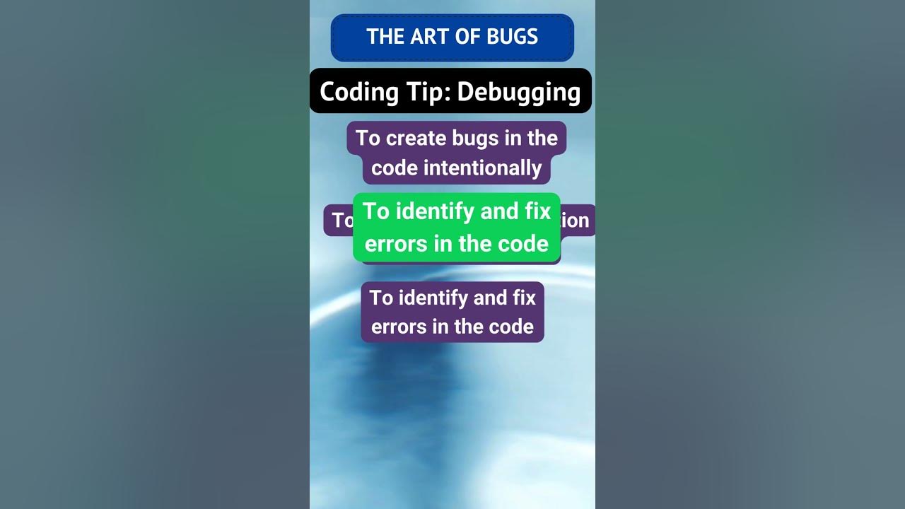 What Is A Bug In Programming Pythonprogramming Programmingtutorial Pythonbeginner Youtube