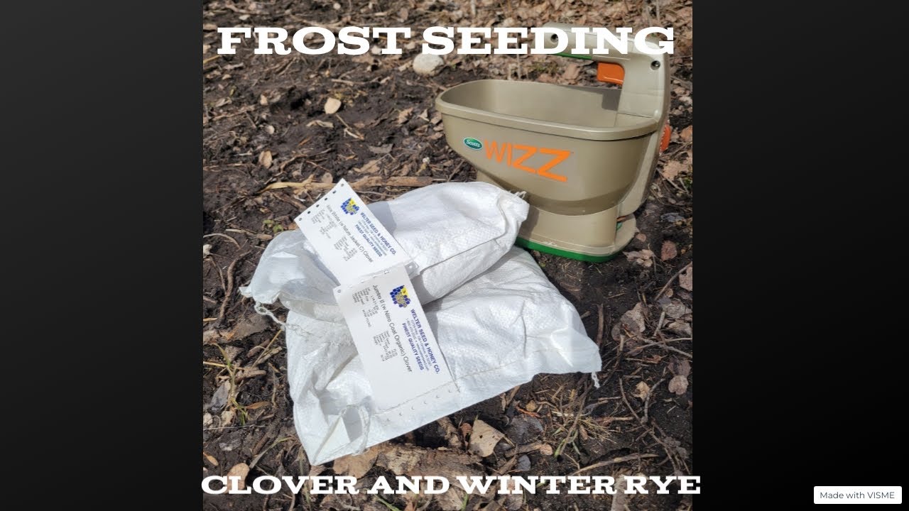 Food Plot Tip | Frost Seeding Clover into Winter Rye - YouTube