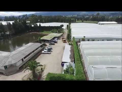 FLORAROMA S.A - YouTube