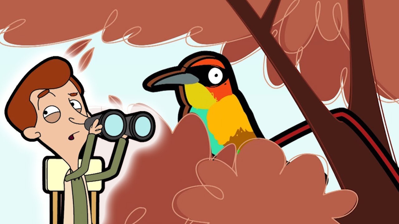 Bean Goes Bird Watching! | Mr Bean Animated Season 2 | Full Episodes ...