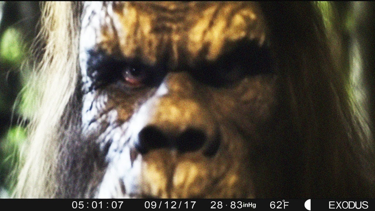 THE DISTURBING TRAIL CAM CREATURE THAT TERRIFIED EVERYONE - YouTube