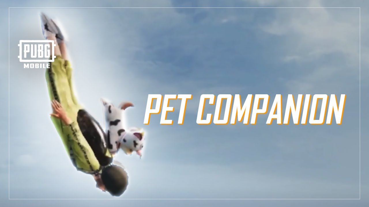 PUBG Mobile Pet Companion - YouTube