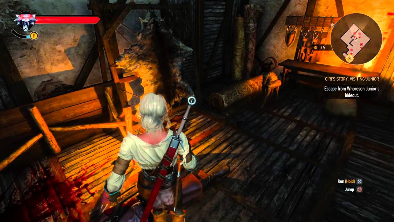 The Witcher 3 Ciri rescues Dudu - YouTube