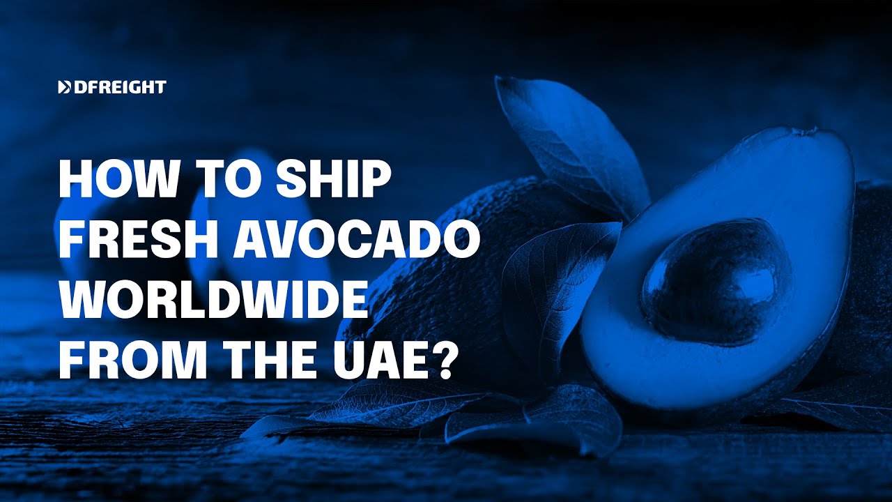 How To ship Fresh Avocado Worldwide From the UAE? - YouTube