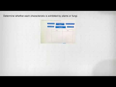 Determine whether each characteristic is exhibited by plants or fungi. - YouTube