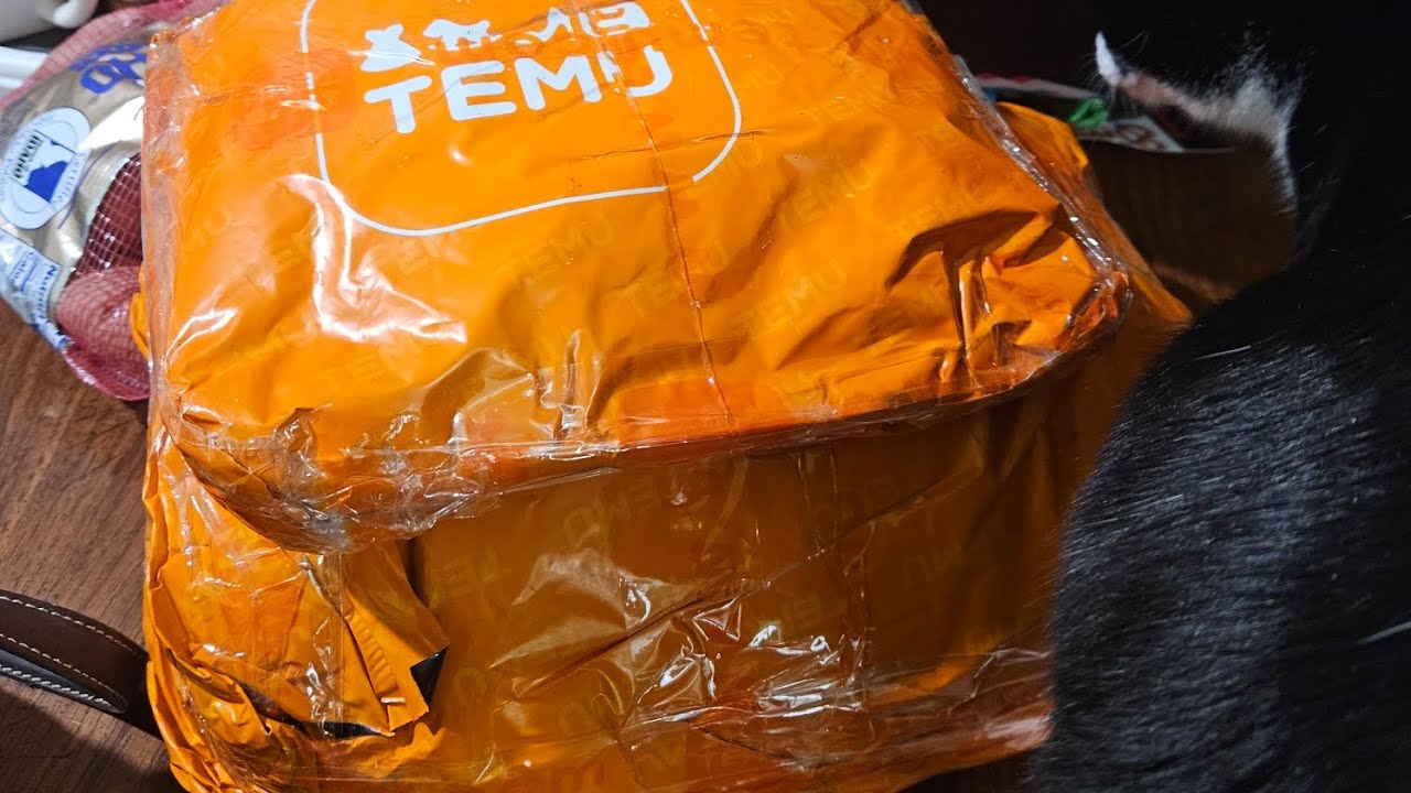 made an impulse TEMU building bricks purchase!! - YouTube