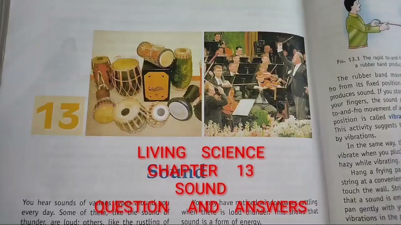 class 8 chapter 13 sound living science question and answers - YouTube
