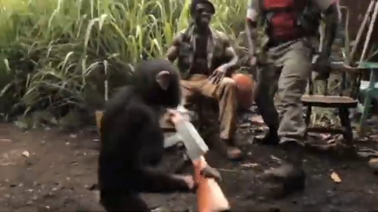 Shot on iPhone - Monke with a gun - YouTube