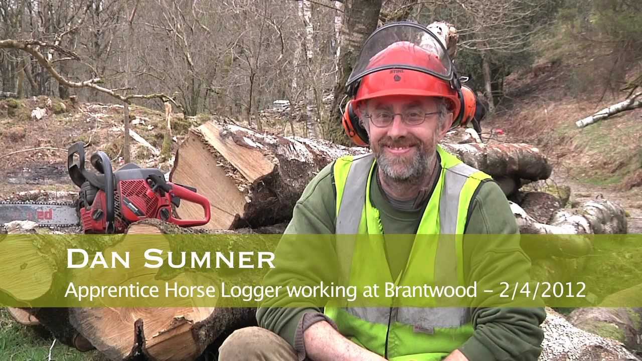 Dan Sumner - Apprentice Horse Logger - British Horse Loggers Charitable ...