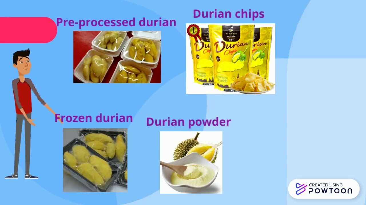 Food Supply Chain For Durian In Malaysia - YouTube
