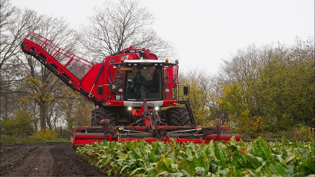 Bieten oogst met Hexx Traxx 12 rijer. Landb. loonb. Sandee Onstwedde ...