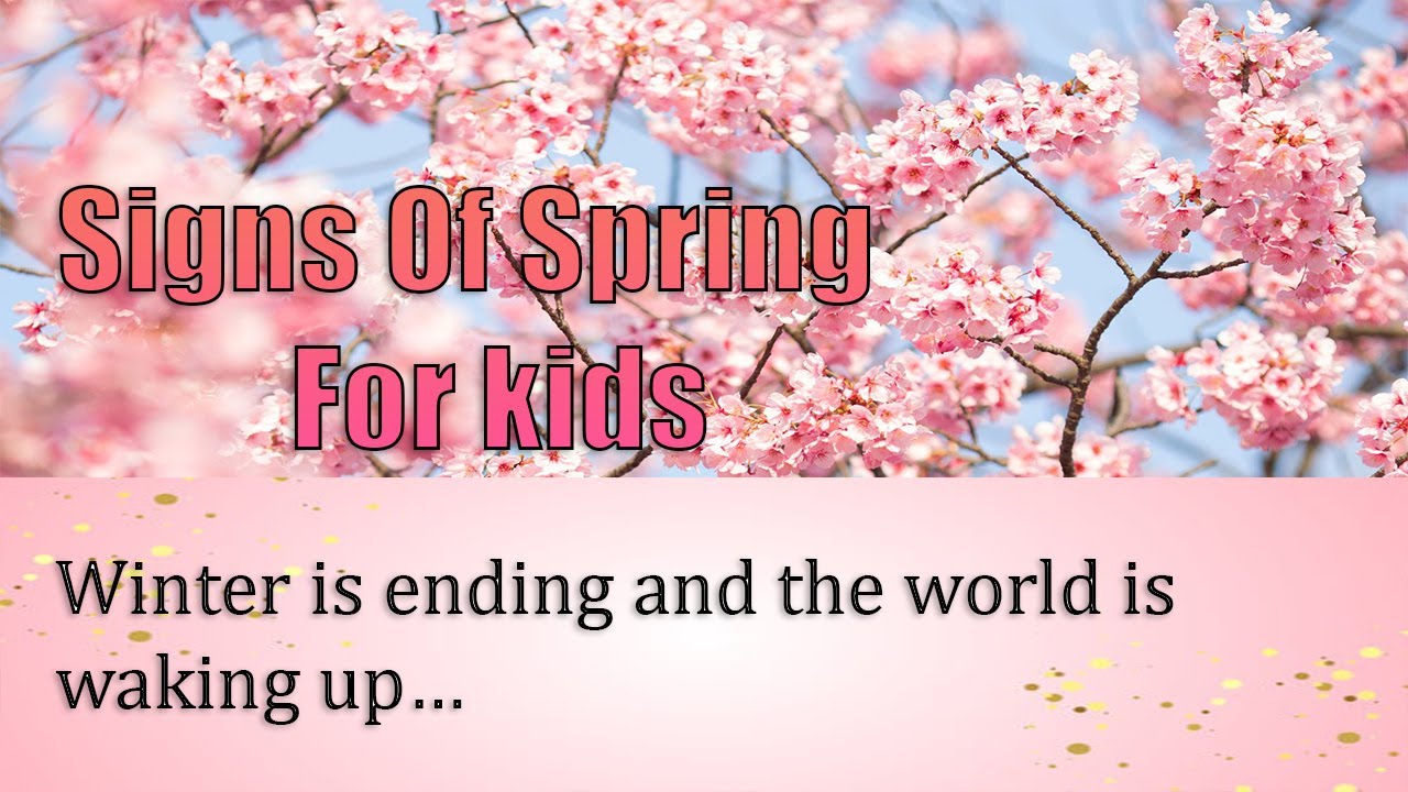 Signs of Spring for kids | Kids Show Time - YouTube