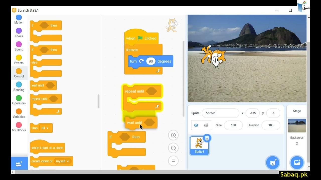 Fundamentals of Scratch Construct, Computer Science Lecture | Sabaq.pk - YouTube